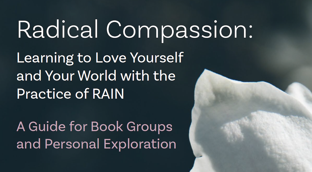 Radical Compassion Study Guide