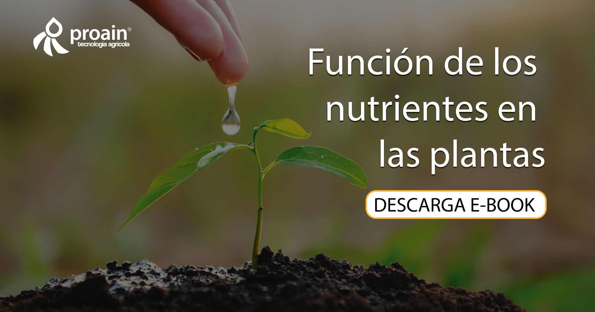 Función de los nutrientes en las plantas-Ebook Gratuito