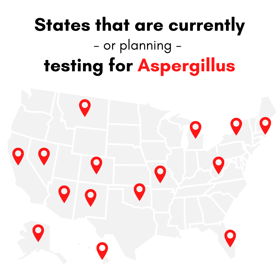 WillowPure Resource Center