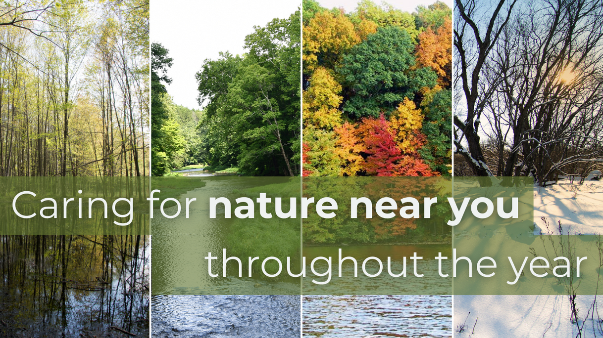 Care for Nature Near You | Give Today