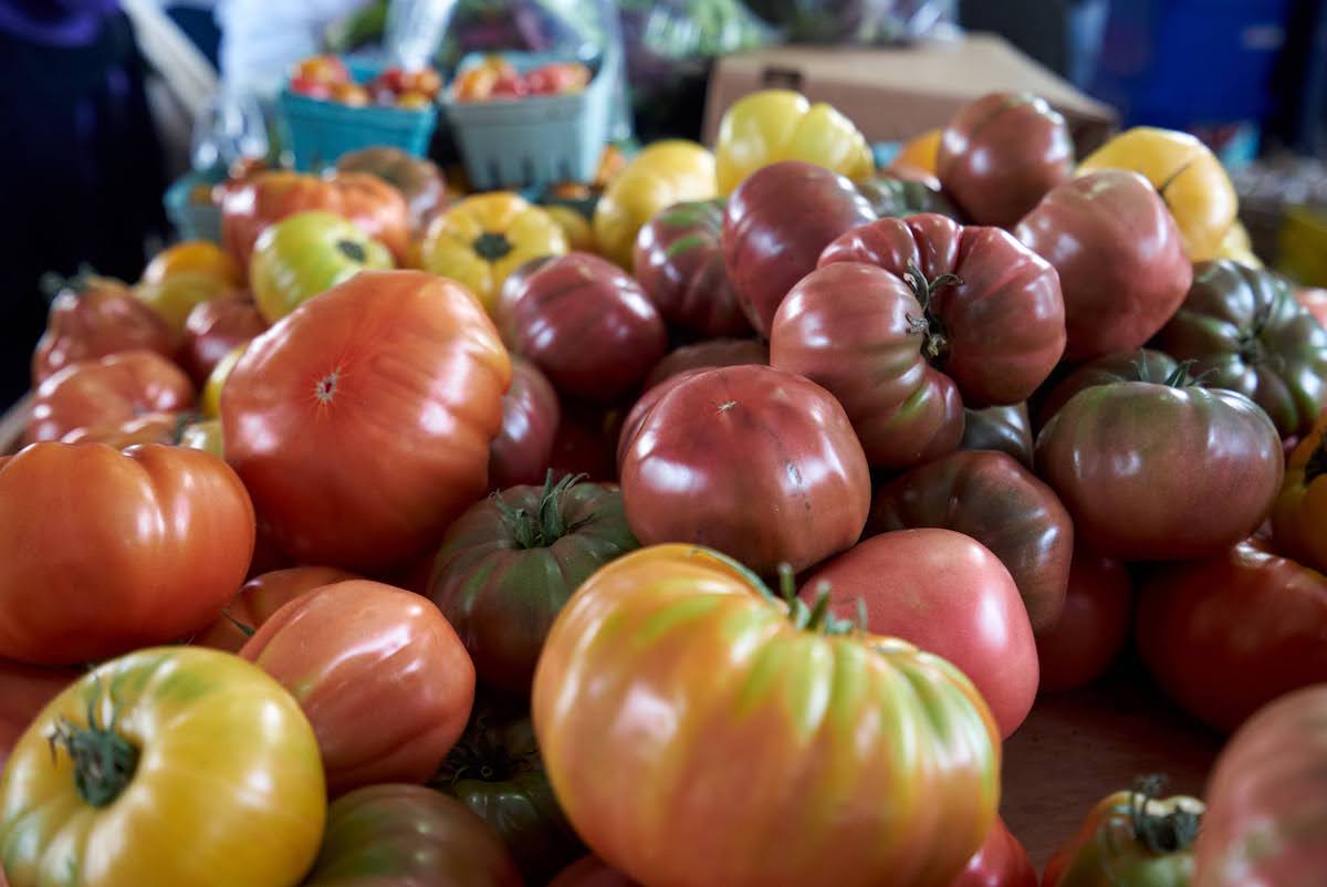«Field Tomato Plants With Two Heads» cheat sheet