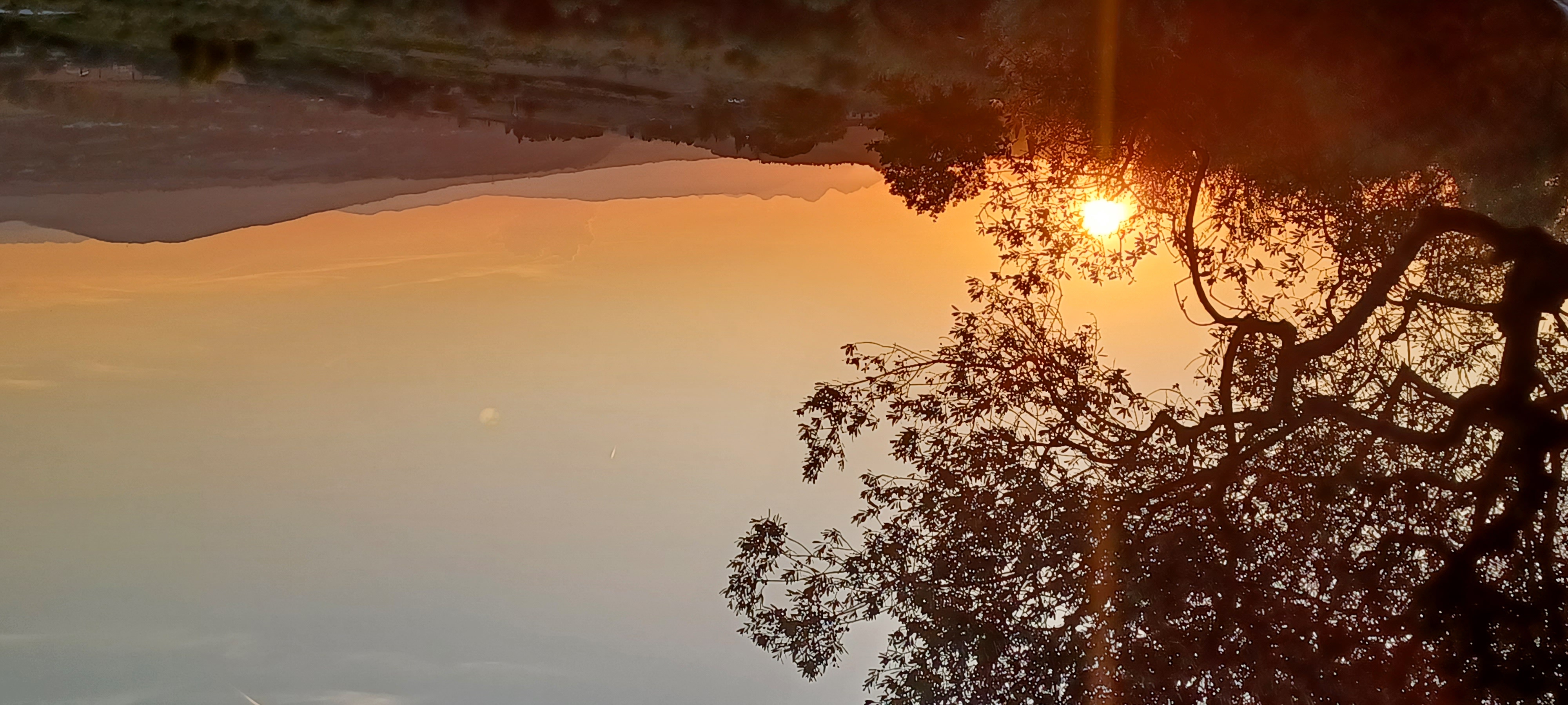 Annick Velter, Erkend Loopbaancoach bij Wisl voor regio Oostende