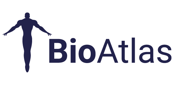 Eleve o ensino da saúde com conteúdos digitais e interativos de anatomia 3D