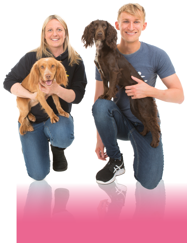 Geeky Lives - AbsoluteDogs