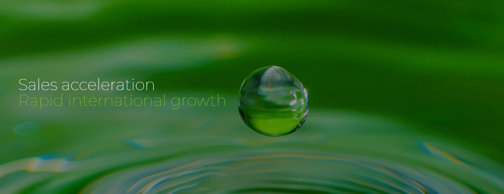 Rapid Sales Workshop - Drive International Sales with Transaction Focus