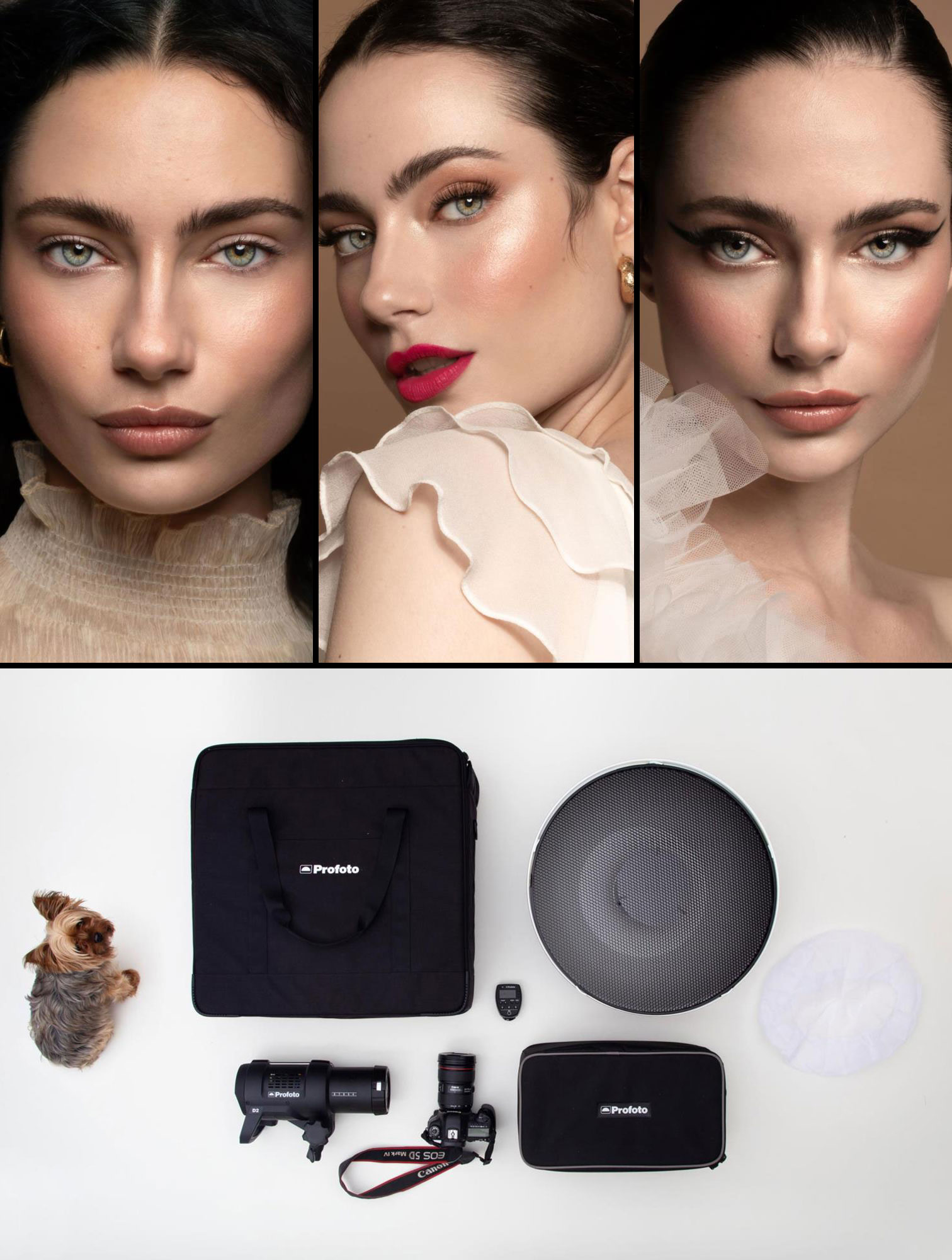 The Pro in Profoto - Testimonial A-series + Clic Campaign