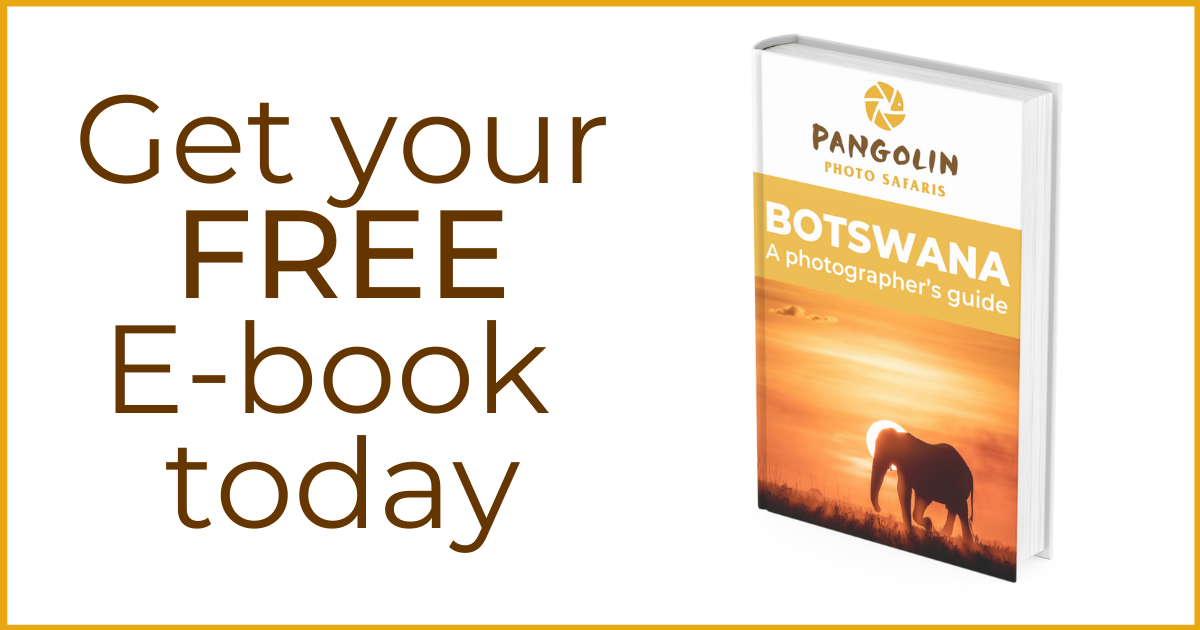 FREE Botswana Photo Guide E-Book