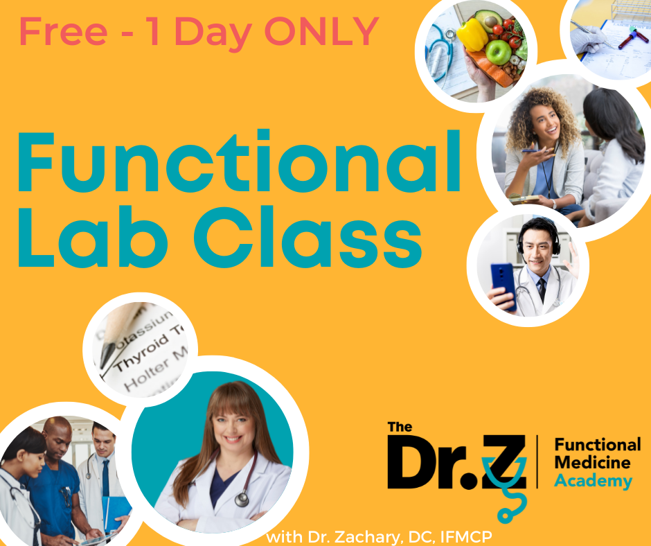 Functional Lab Class