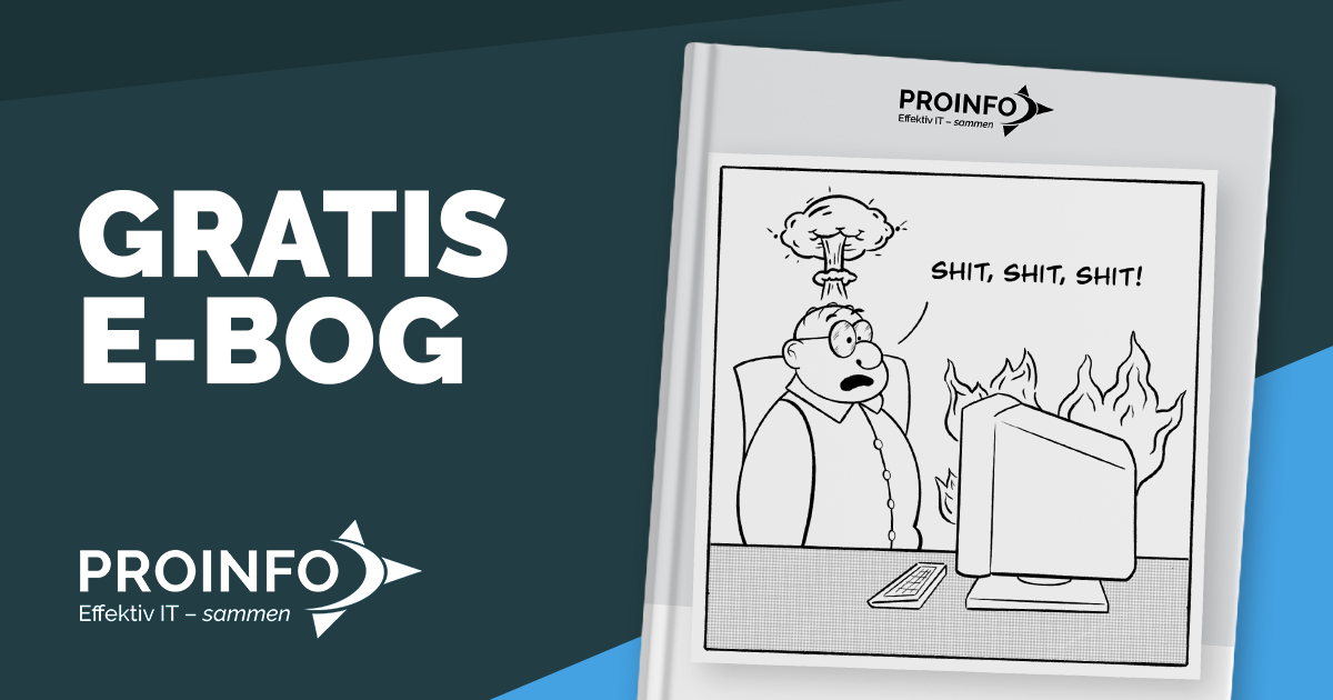 Proinfo | E-bog: Indbildt eller ægte backup - hvad har i?