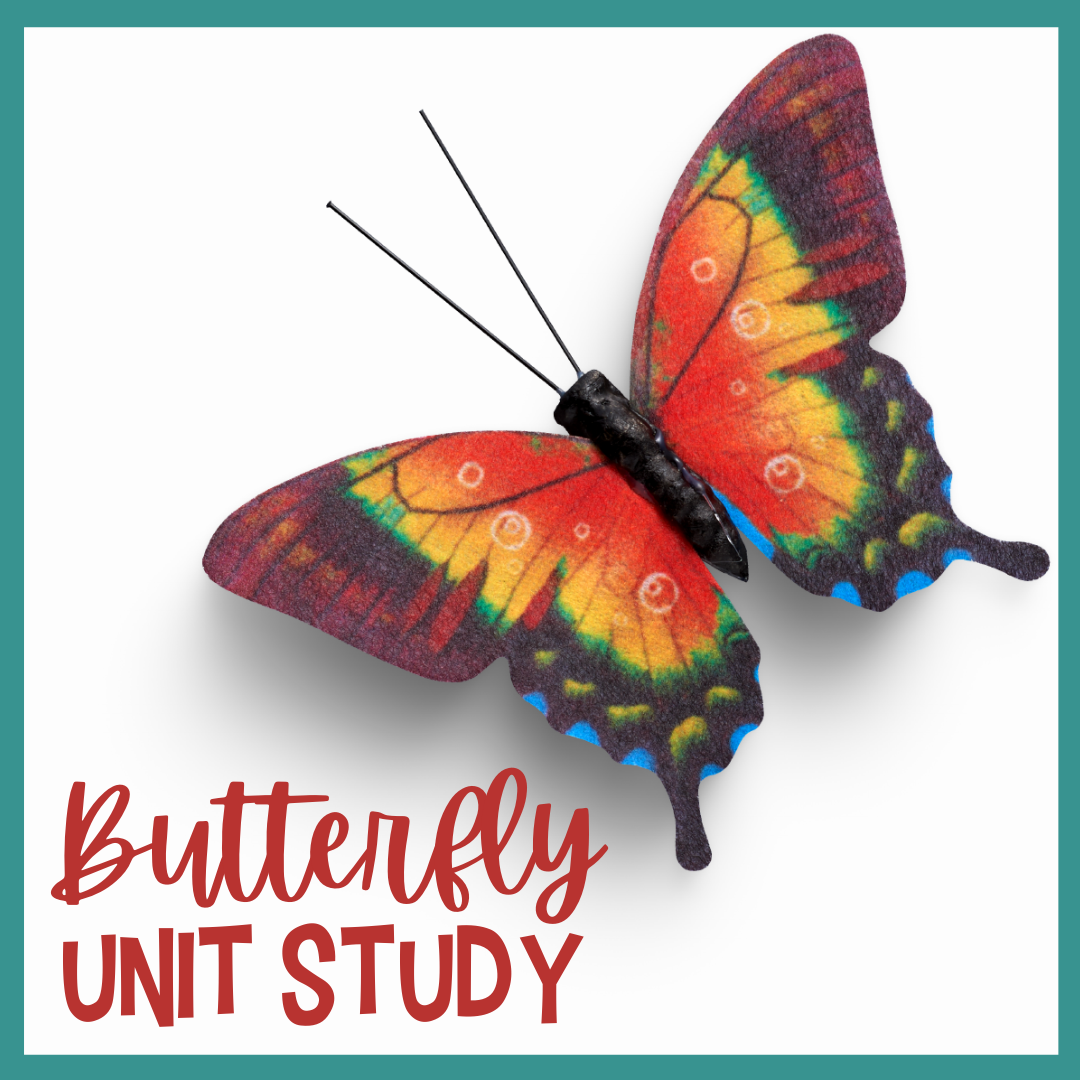 Save 20% on our Homeschool Preschool membership!