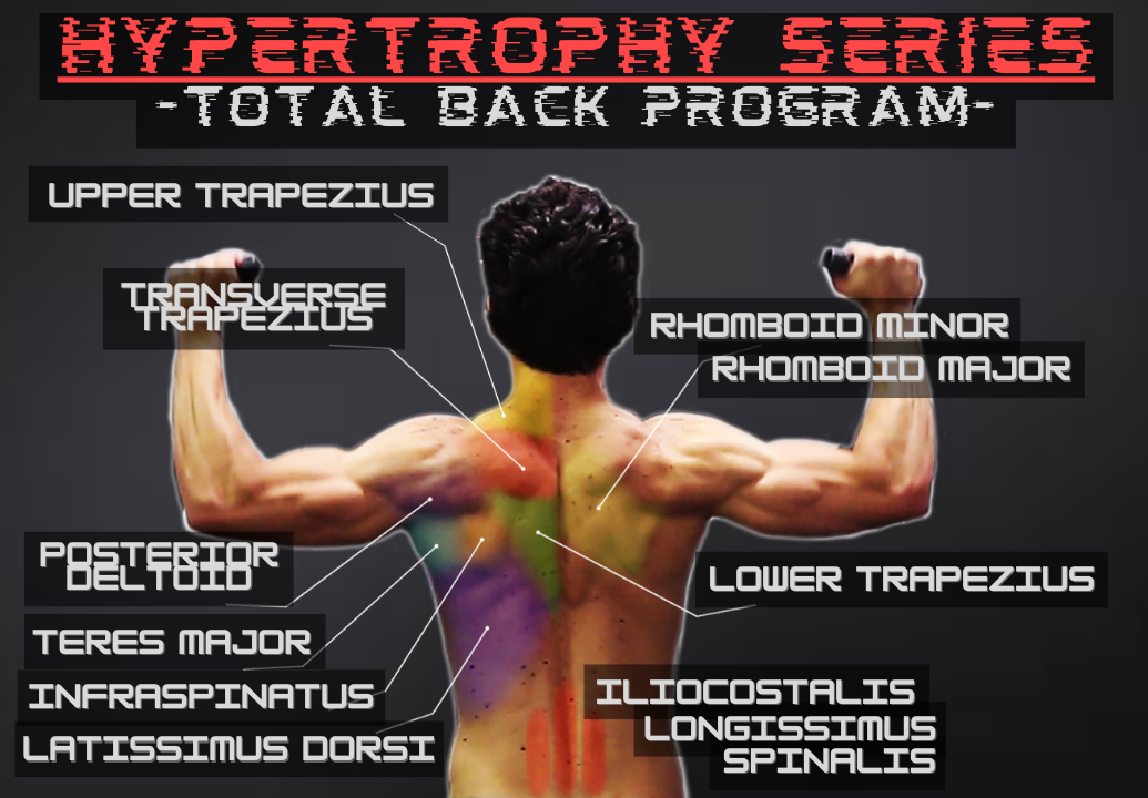 Explore Online Programs