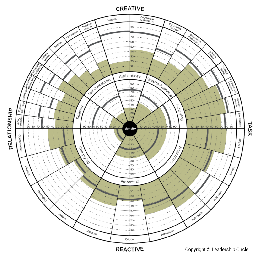 The Leadership Circle FREE Assessment