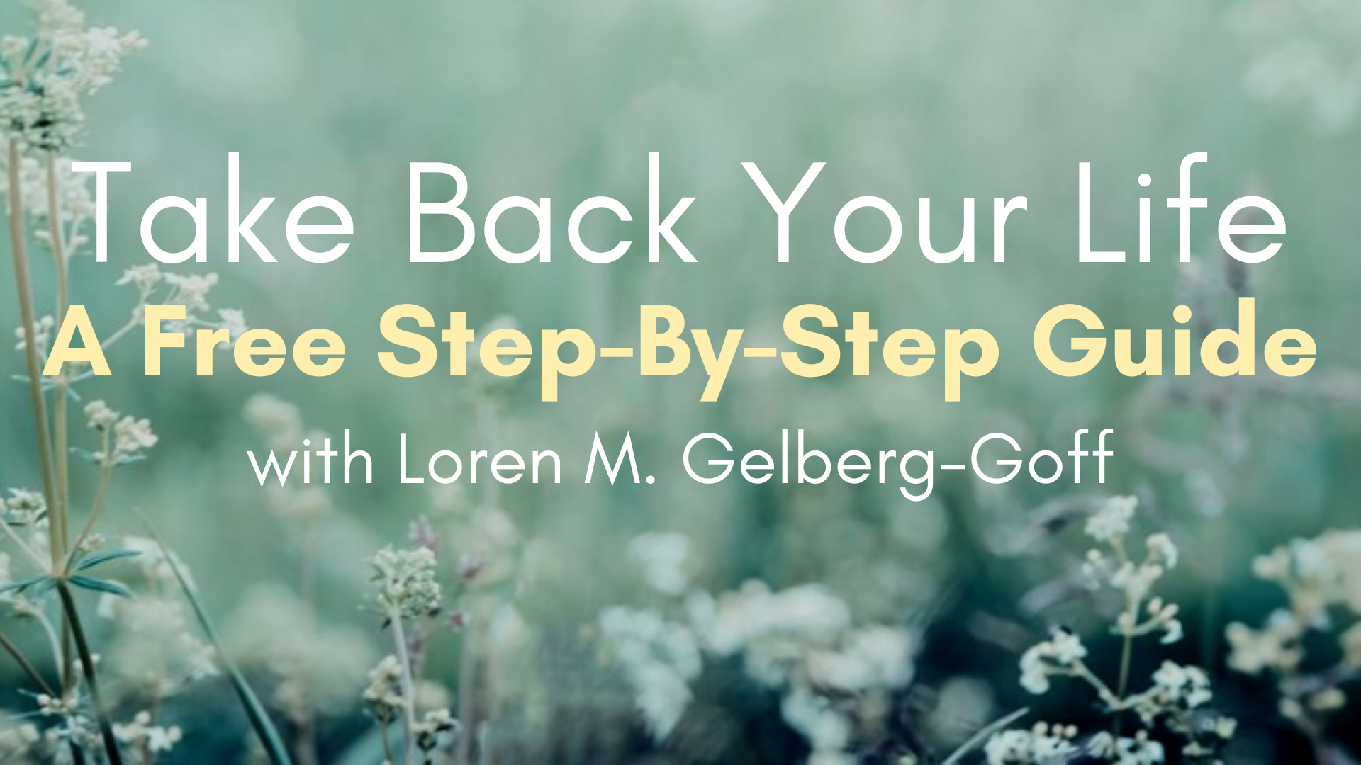 Take Back Your Life: A Free Step-by Step Guide