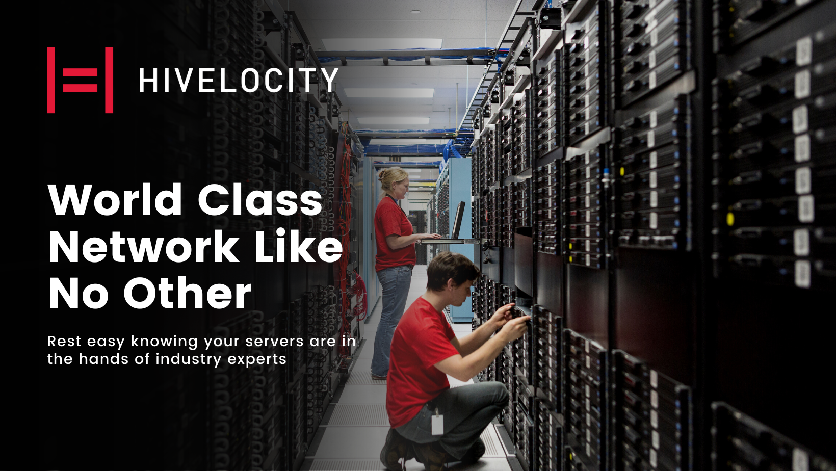 Hivelocity | Sign Up for Early Access