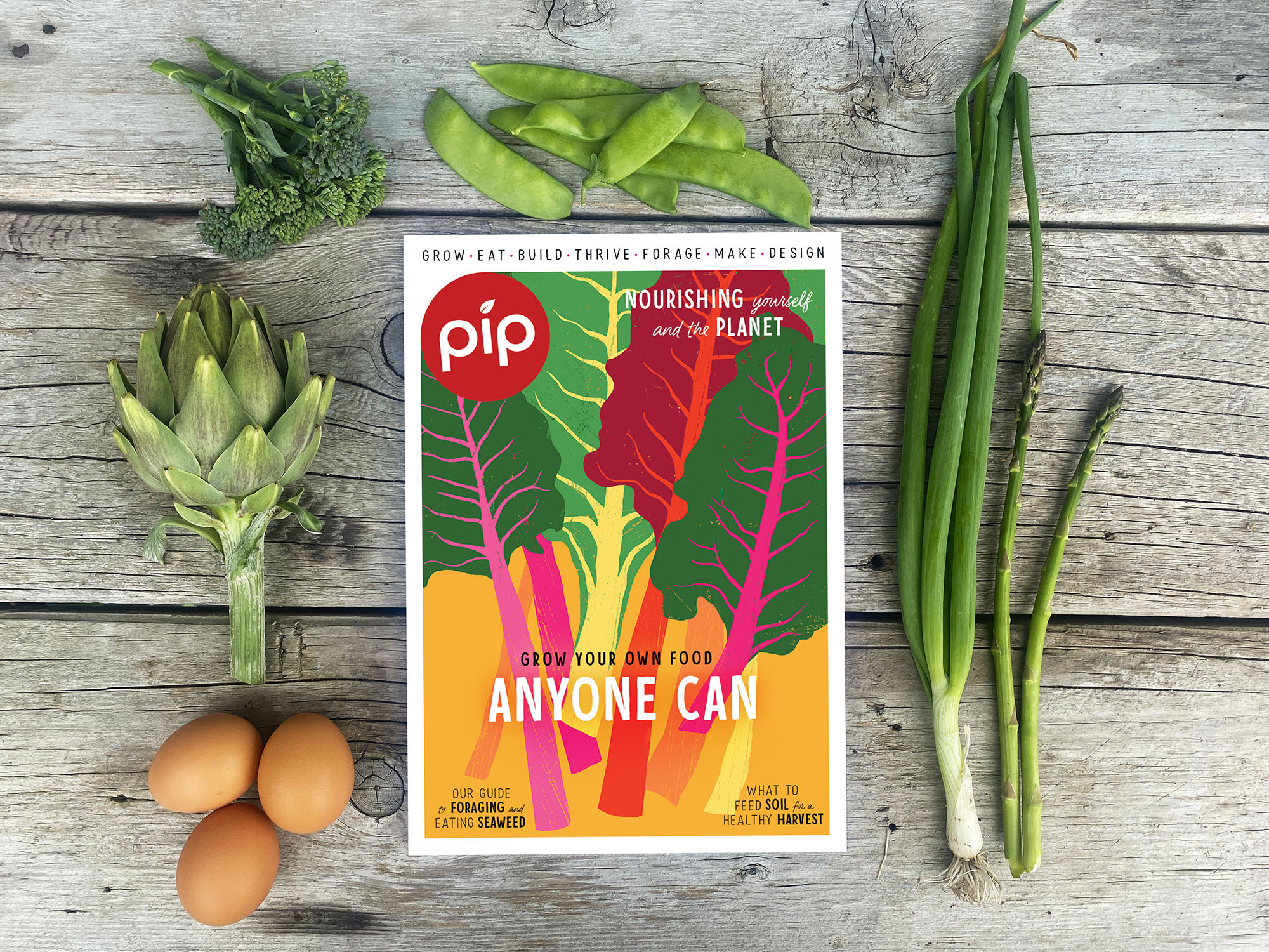 Pip Magazine Giveaway Draw