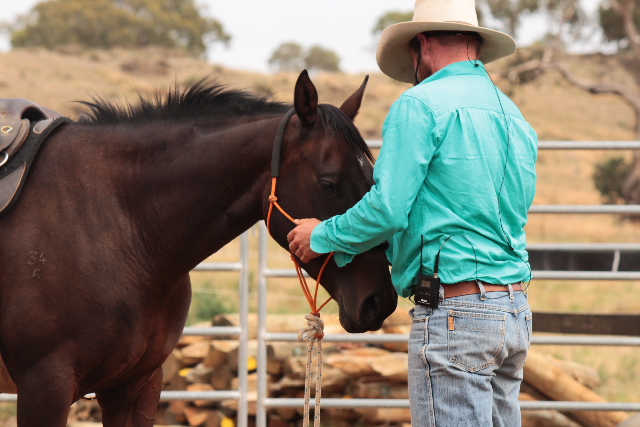 Mark Langley Horsemanship