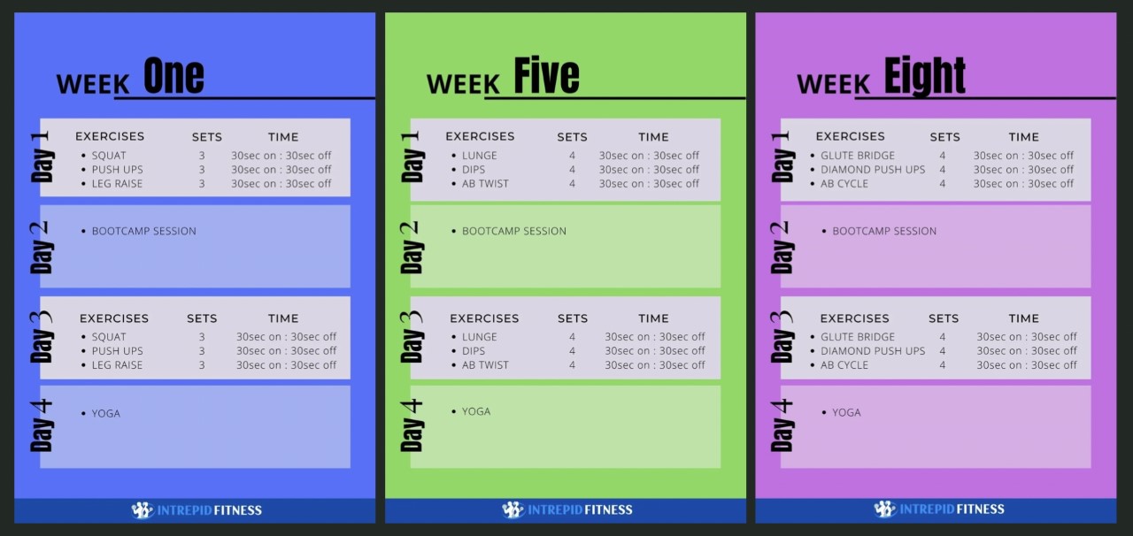 Intrepid Fitness - 12 Week Challenge