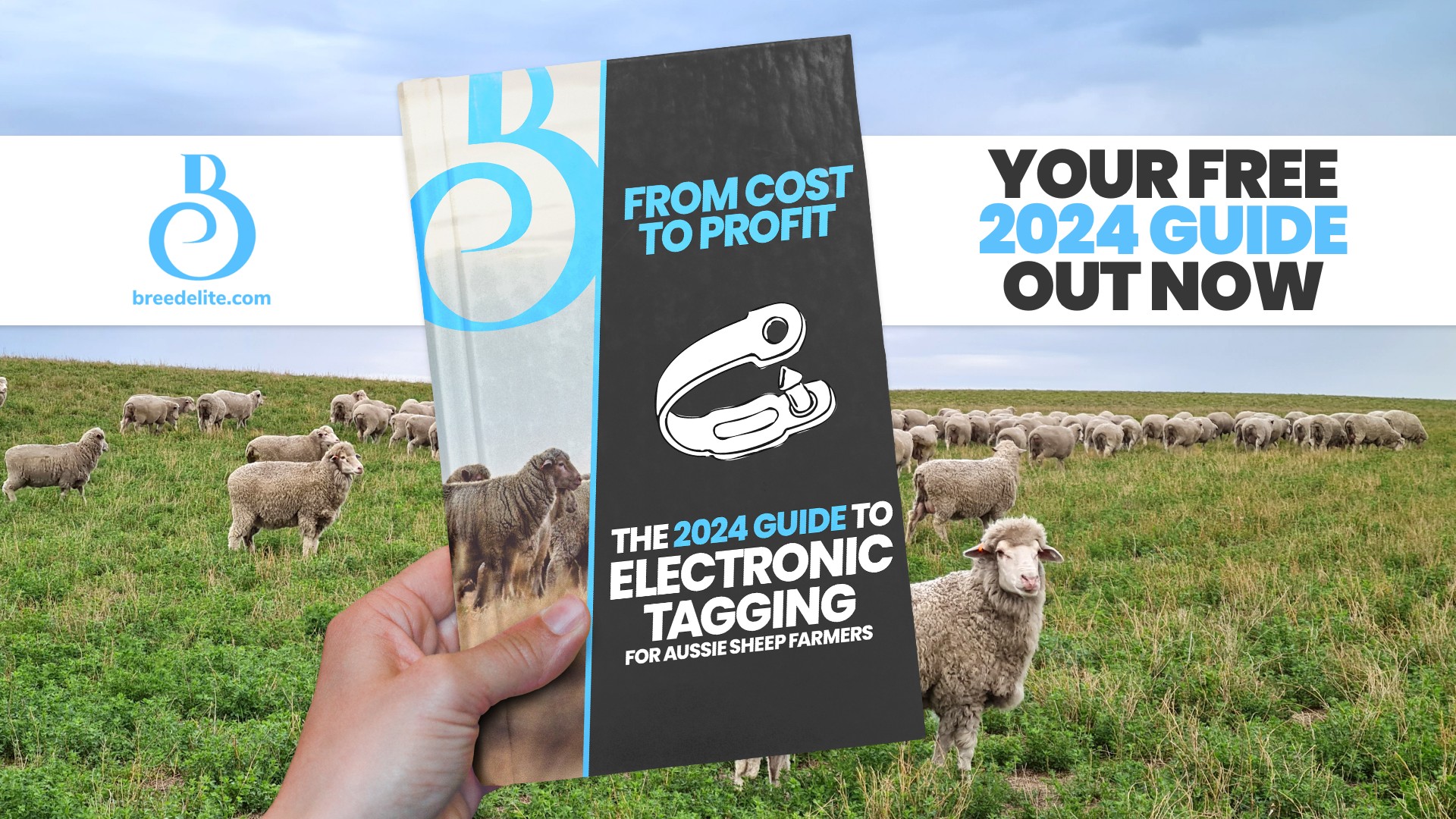 2024 GUIDE TO ELECTRONIC TAGGING FOR AUSSIE SHEEP FARMERS