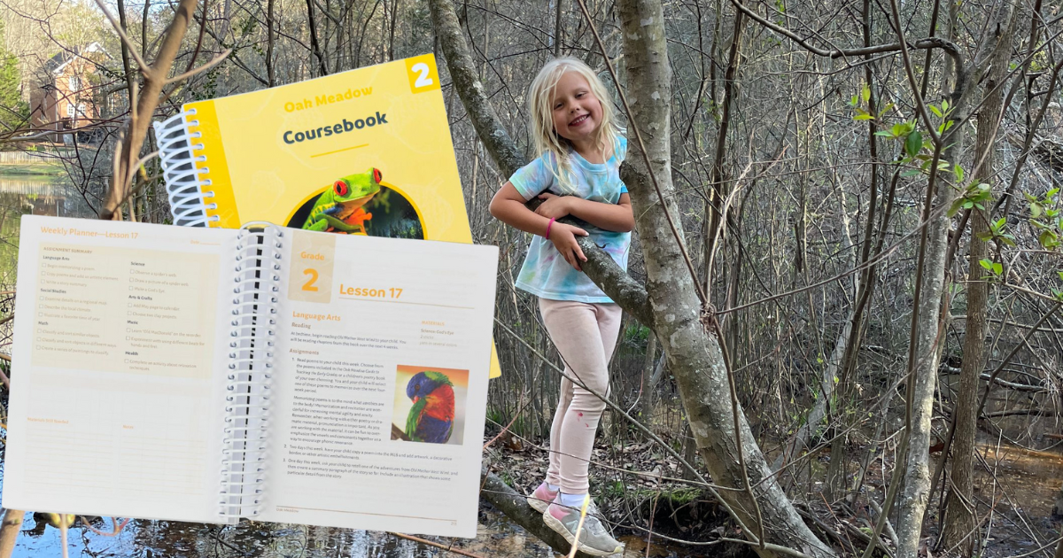 Two Weeks Of Free 2nd Grade Lessons Oak Meadow Secular Immersive And Joyful Homeschooling